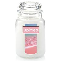 China Luxitrea Scented Candle Classic 22oz Large Jar Single Wick Candle Over 110 Hours of Burn Time for sale