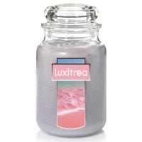 China Luxitrea Scented Candle Classic 22oz Large Jar Single Wick Candle Over 110 Hours of Burn Time for sale