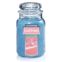 China Luxitrea Scented Candle Classic 22oz Large Jar Single Wick Candle Over 110 Hours of Burn Time for sale