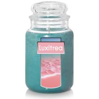China Luxitrea Scented Candle Classic 22oz Large Jar Single Wick Candle Over 110 Hours of Burn Time for sale