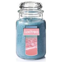 China Luxitrea Scented Candle Classic 22oz Large Jar Single Wick Candle Over 110 Hours of Burn Time for sale