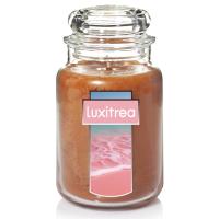 China Luxitrea Scented Candle Classic 22oz Large Jar Single Wick Candle Over 110 Hours of Burn Time for sale