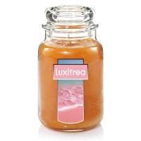 China Luxitrea Scented Candle Classic 22oz Large Jar Single Wick Candle Over 110 Hours of Burn Time for sale