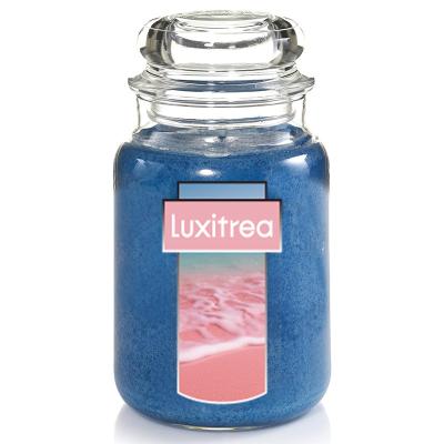 China Luxitrea Scented Candle Classic 22oz Large Jar Single Wick Candle Over 110 Hours of Burn Time for sale