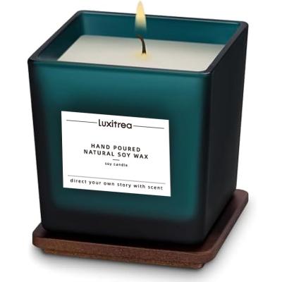 China Private Label Candle Luxitrea Candle Lemon mint scented candle for sale