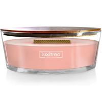 China 16oz Large Glass Jar Candle Stylish Design For Home Decoration Or Gift for sale
