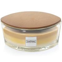 China 16oz Large Glass Jar Candle Stylish Design For Home Decoration Or Gift for sale