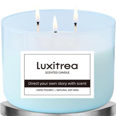 China Private Label Candle Luxitrea Candle  Sweet notes of flowers and fruits  Iris Azure Blue 3 Wicks Scented candles 10 oz for sale