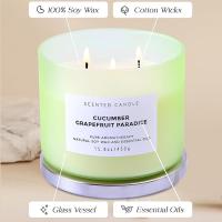 China Luxitrea Candle  Fresh White Tea 3 Wicks Scented Candle 10 oz  Private Label Candle for sale