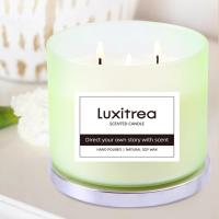China Luxitrea Candle  Fresh White Tea 3 Wicks Scented Candle 10 oz  Private Label Candle for sale