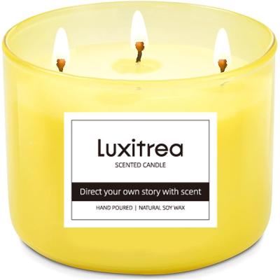 China Luxitrea Candle  LOEWE Gold Silver Flower 3 Wicks Scented Candle  10oz Private Label Candle for sale