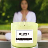 China Luxitrea Candle  Golden Coast 3 Wicks  Scented Candle Wood Jasmine Fragrance 10 oz  Private Label Candle for sale