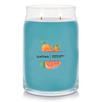 China 10 Oz Bottled Up Scented Candles Caramel Cocoa Coffee Scented Candles 35 Hours for sale