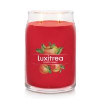 China 10 Oz Bottled Up Scented Candles Caramel Cocoa Coffee Scented Candles 35 Hours for sale