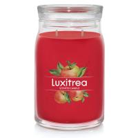 China 10 Oz Bottled Up Scented Candles Caramel Cocoa Coffee Scented Candles 35 Hours for sale