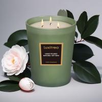 China Eco Friendly Private Label Candle Ocean Breeze Scented Candles For Home Decor‌ 3 Oz for sale
