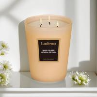 China Luxitrea Candle 13 oz Private Label Candle Mediterranean Citrus Candle Lemon Basil Sea Salt for sale