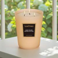 China Luxitrea Candle 13 oz Private Label Candle Mediterranean Citrus Candle Lemon Basil Sea Salt for sale