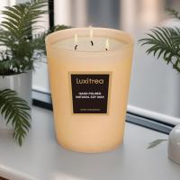 China Luxitrea Candle 13 oz Private Label Candle Mediterranean Citrus Candle Lemon Basil Sea Salt for sale