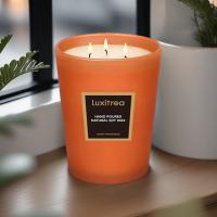 China Easy Cleanup Lemongrass And Ginger Candle Modern Wellness‌ For Relaxation for sale