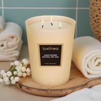 China Soy Wax Luxury Vanilla Scented Candle For Home Decor‌ 13 Oz Essential Oils for sale