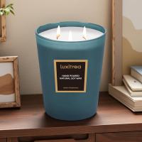 China Rainforest Mist Private Label Candle Eucalyptus Scented Candles For Spa Bathroom 13oz for sale