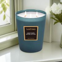 China Rainforest Mist Private Label Candle Eucalyptus Scented Candles For Spa Bathroom 13oz for sale