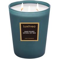 China Rainforest Mist Private Label Candle Eucalyptus Scented Candles For Spa Bathroom 13oz for sale
