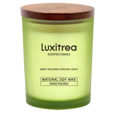 China Verdant Mint And Lavender Mediterranean Breeze Candle 4 Oz For Home Decoration for sale