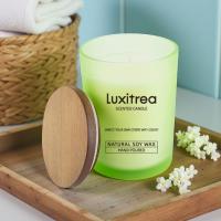 China Verdant Mint And Lavender Mediterranean Breeze Candle 4 Oz For Home Decoration for sale