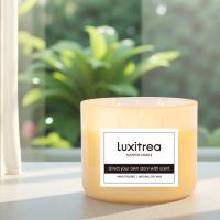 China Luxitrea Candle   Mango and Peach 3 Wicks Scented Candle  10 oz Private Label Candle for sale