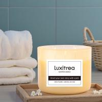 China Luxitrea Candle   Mango and Peach 3 Wicks Scented Candle  10 oz Private Label Candle for sale