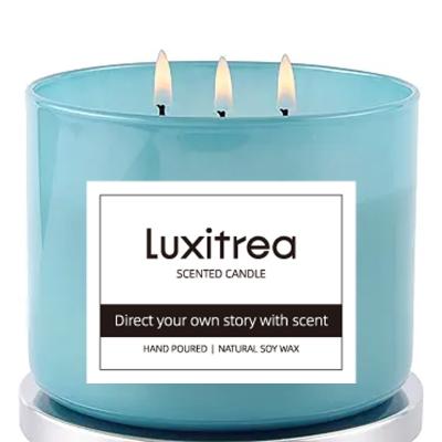 China Luxitrea Candle  Blue Waltz 3 Wicks Scented Candle 10oz  Private Label Candle for sale