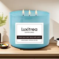 China Luxitrea Candle  Blue Waltz 3 Wicks Scented Candle 10oz  Private Label Candle for sale