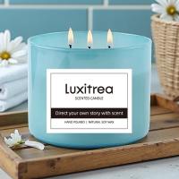 China Luxitrea Candle  Blue Waltz 3 Wicks Scented Candle 10oz  Private Label Candle for sale
