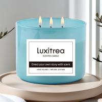 China Luxitrea Candle  Blue Waltz 3 Wicks Scented Candle 10oz  Private Label Candle for sale