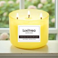 China Luxitrea Candle  LOEWE Gold Silver Flower 3 Wicks Scented Candle  10oz Private Label Candle for sale