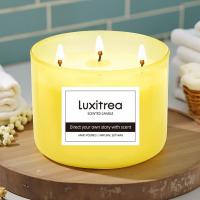 China Luxitrea Candle  LOEWE Gold Silver Flower 3 Wicks Scented Candle  10oz Private Label Candle for sale