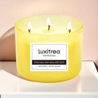 China Luxitrea Candle  LOEWE Gold Silver Flower 3 Wicks Scented Candle  10oz Private Label Candle for sale