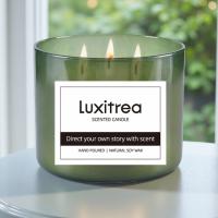 China Luxitrea Candle  Mist Forest 3 wicks Scented Candle Meditation or relaxing at night 10oz Private Label Candle for sale