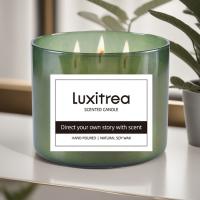 China Luxitrea Candle  Mist Forest 3 wicks Scented Candle Meditation or relaxing at night 10oz Private Label Candle for sale