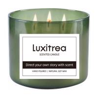 China Luxitrea Candle  Mist Forest 3 wicks Scented Candle Meditation or relaxing at night 10oz Private Label Candle for sale