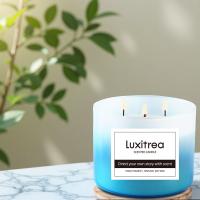 China Pure healing fragrance under blue sky and white clouds Private Label Candle Luxitrea Candle 3 Wicks Scented Candle 10oz for sale