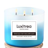 China Pure healing fragrance under blue sky and white clouds Private Label Candle Luxitrea Candle 3 Wicks Scented Candle 10oz for sale