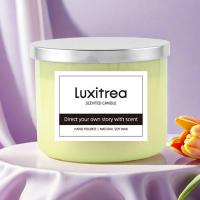China Luxitrea Candle  Golden Coast 3 Wicks  Scented Candle Wood Jasmine Fragrance 10 oz  Private Label Candle for sale
