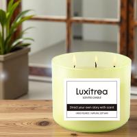 China Luxitrea Candle  Golden Coast 3 Wicks  Scented Candle Wood Jasmine Fragrance 10 oz  Private Label Candle for sale