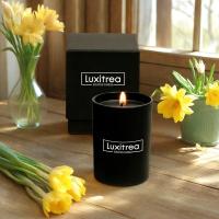 China Reusable Container Scented Candle Gift Set Natural Essential Oils Home Fragrance Collection for Elegant Ambiance and Relaxation for sale