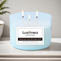 China Private Label Candle Luxitrea Candle  Sweet notes of flowers and fruits  Iris Azure Blue 3 Wicks Scented candles 10 oz for sale