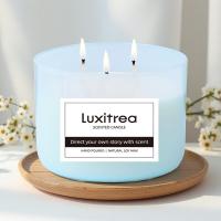 China Private Label Candle Luxitrea Candle  Sweet notes of flowers and fruits  Iris Azure Blue 3 Wicks Scented candles 10 oz for sale