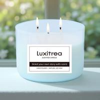 China Private Label Candle Luxitrea Candle  Sweet notes of flowers and fruits  Iris Azure Blue 3 Wicks Scented candles 10 oz for sale